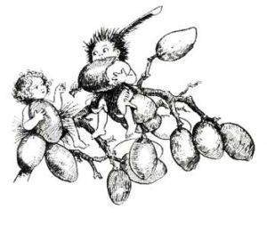 CABBAGE PALM (Pickled Cabbages) – (PICCANINNIES by ISABEL MAUD PEACOCKE ...